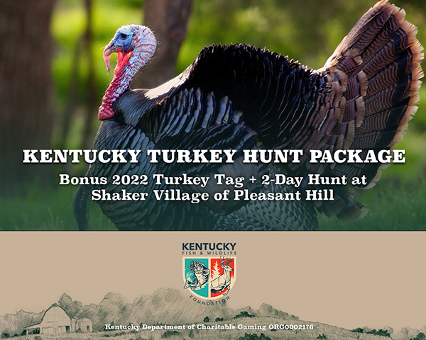 Turkey Hunt Drawing Single Tickets - Kentucky Fish and Wildlife Foundation